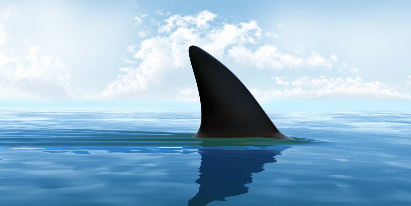 shark-fin-1 – SharePoint Sharks Blog